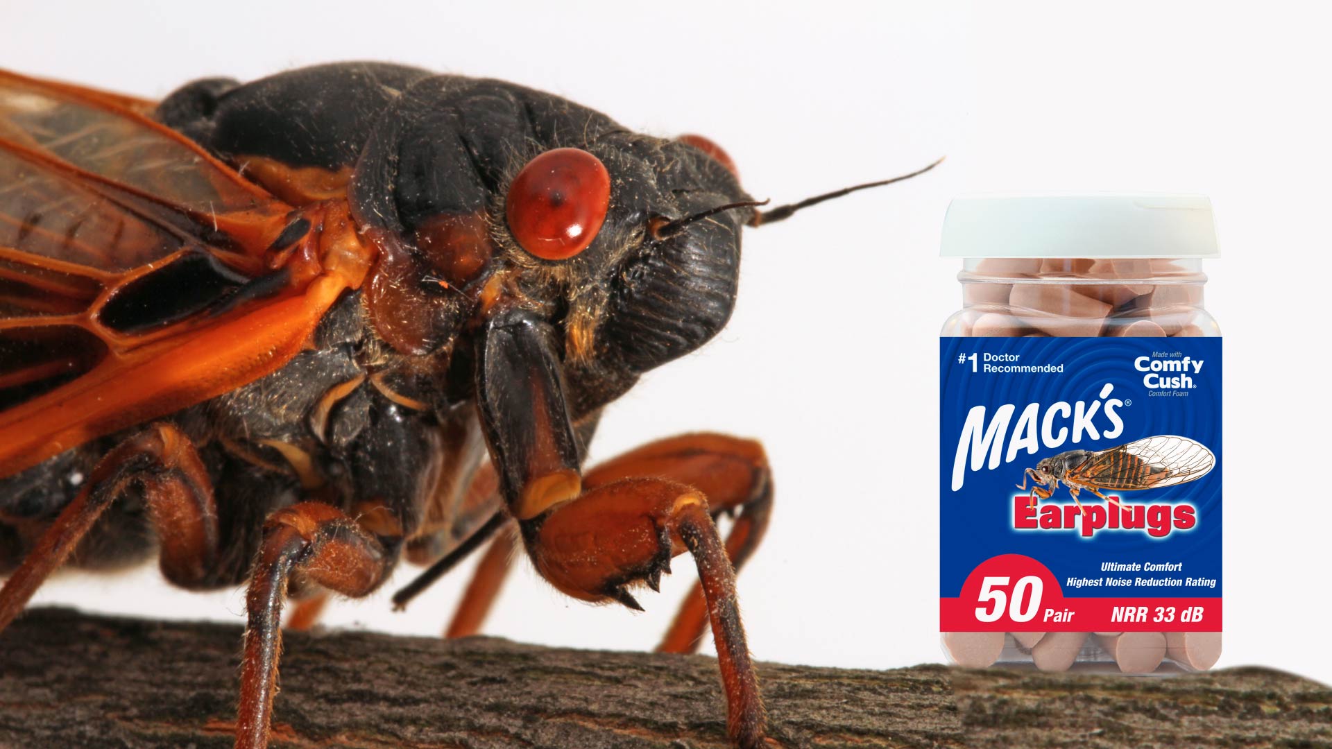 Test Ear Plugs 6 | Mack's Ear Plugs